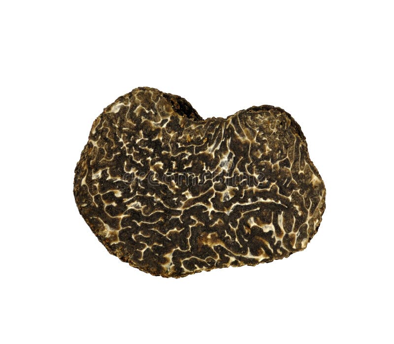 Trufa Negra Isolada Sobre Fundo Branco Foto de Stock - Imagem de queda ...