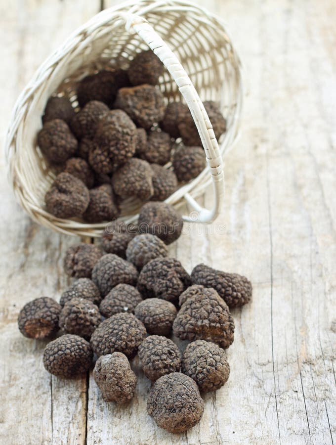 Trufas italianas frescas foto de stock. Imagem de fresco - 20669946