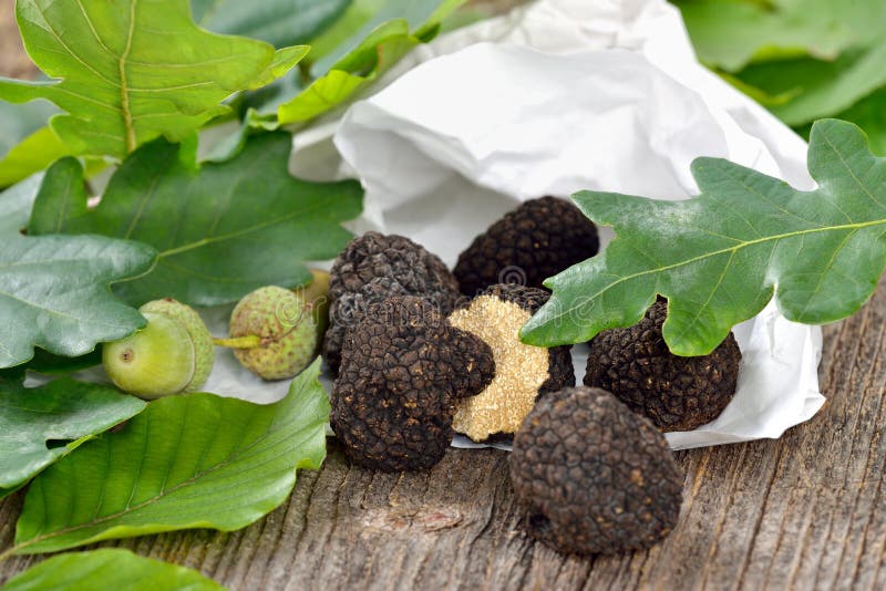 Trufas pretas foto de stock. Imagem de corte, luxo, delicadeza - 59882088