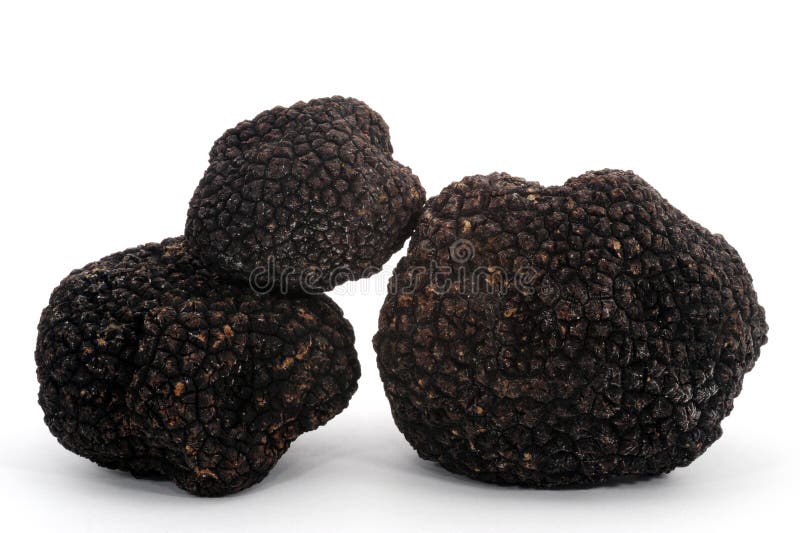 Truffle stock photo. Image of speciality, expensive, taste - 10341962