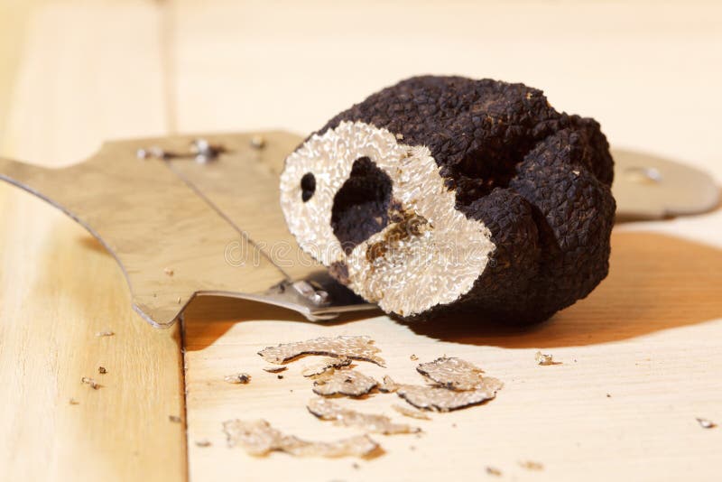 Truffle stock image. Image of gourmet, edible, refreshment - 34493691
