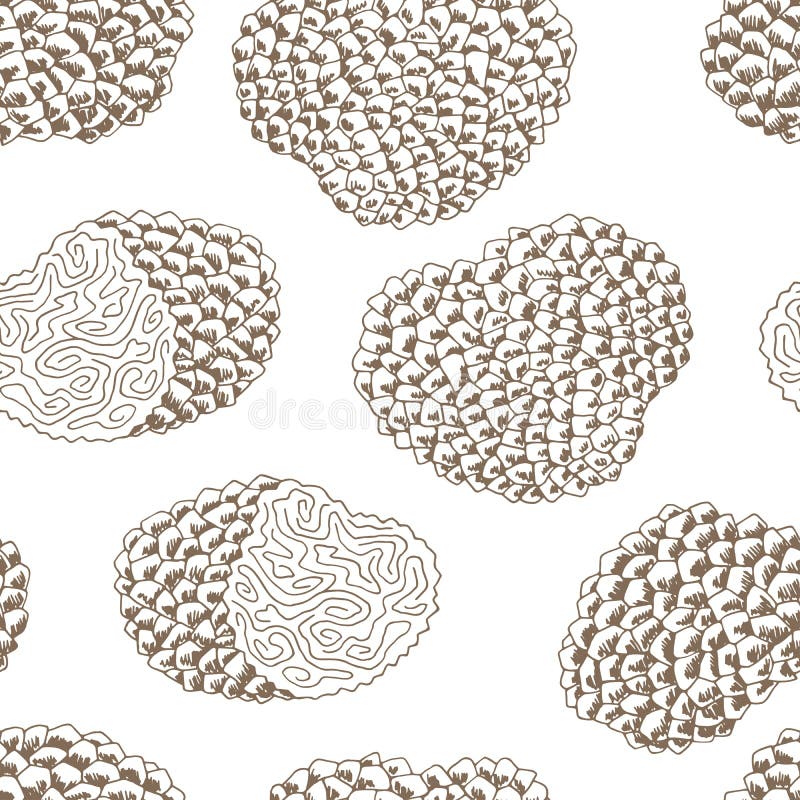Truffle Mushrooms Graphic Color Seamless Pattern Background Sketch ...