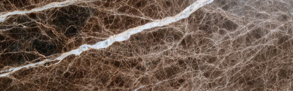 Truffle Marble Deep Brown Slab with White Vein Crossing Dramatic ...