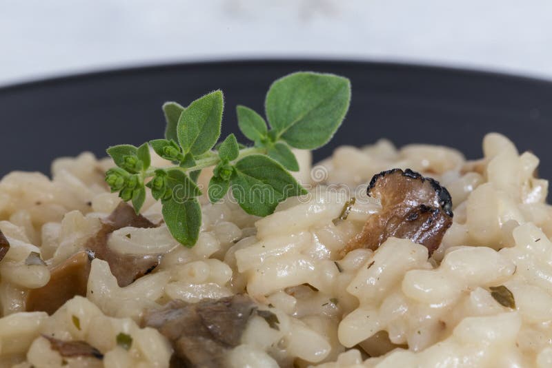 Truffle Risotto with Marjoram on a Plate Stock Photo - Image of view ...
