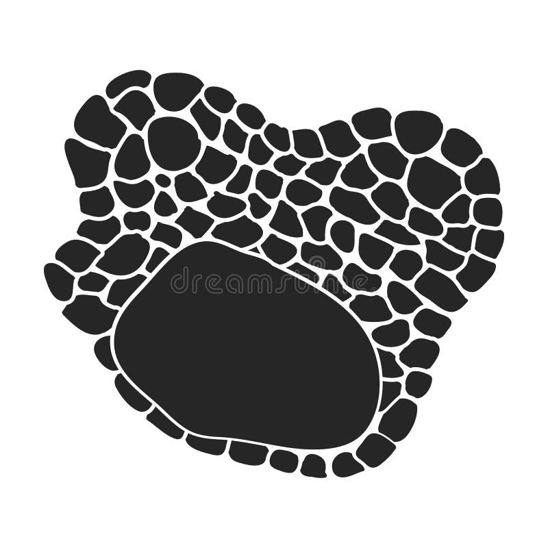 Black Truffle Isolated White Stock Illustrations – 814 Black Truffle ...