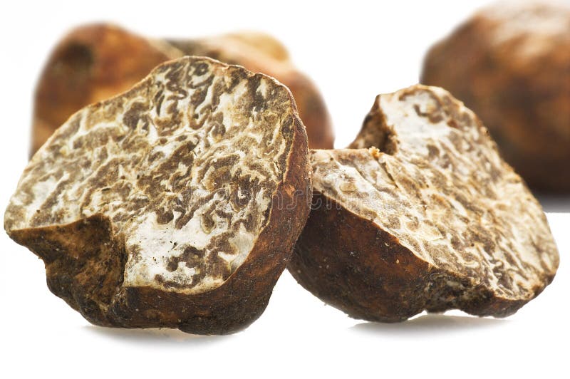 Truffles stock image. Image of organic, truffle, tuber - 17655671