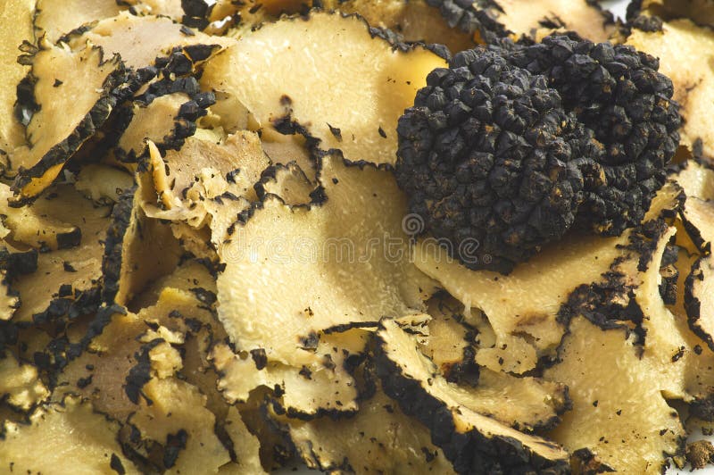Expensive Rare Black Truffle Mushroom Stock Photo - Image of expensive ...