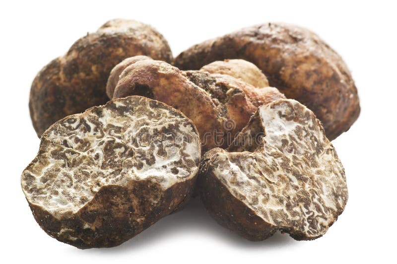 Rocks and minerals stock photo. Image of rocks, precious - 8640306