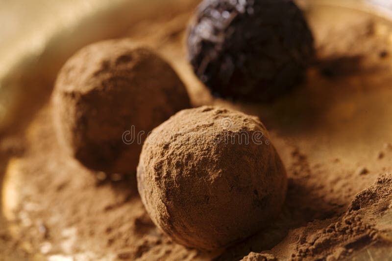 Truffles stock photo. Image of gourmet, food, cocoa, close - 8031780