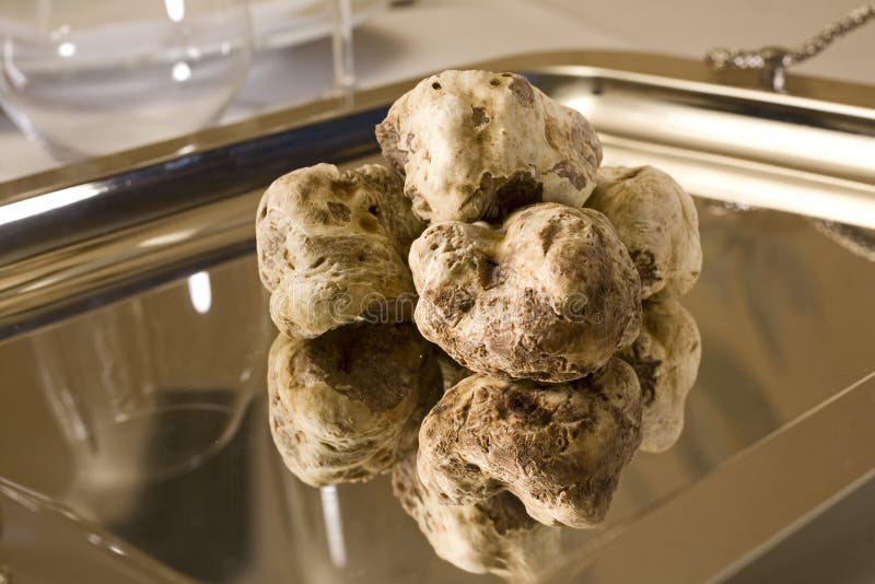 Truffles stock image. Image of mushroom, healthy, vegetable - 8608795