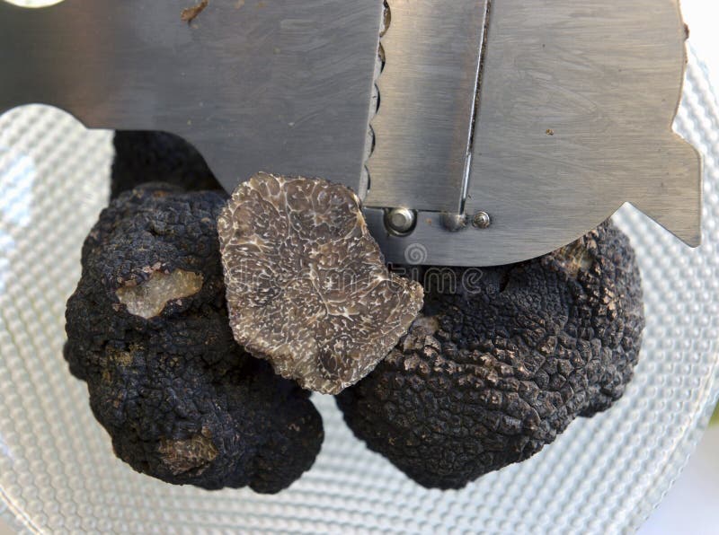 Truffles stock photo. Image of plate, pieces, food, situation - 36214402