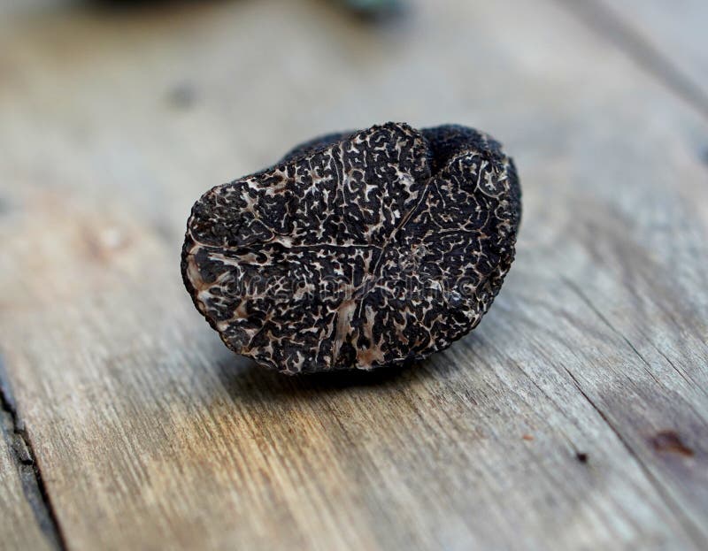 Truffles on a Wooden Background Stock Image - Image of truffle, smell ...