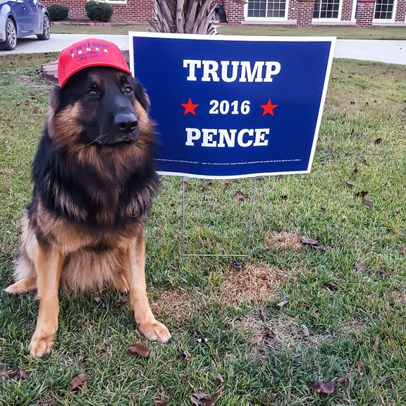 Trump editorial stock image. Image of blue, trump, america - 86421799