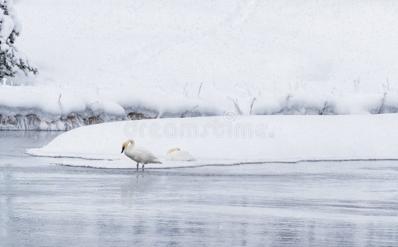 Lake Edge Madison Stock Photos - Free & Royalty-Free Stock Photos from ...