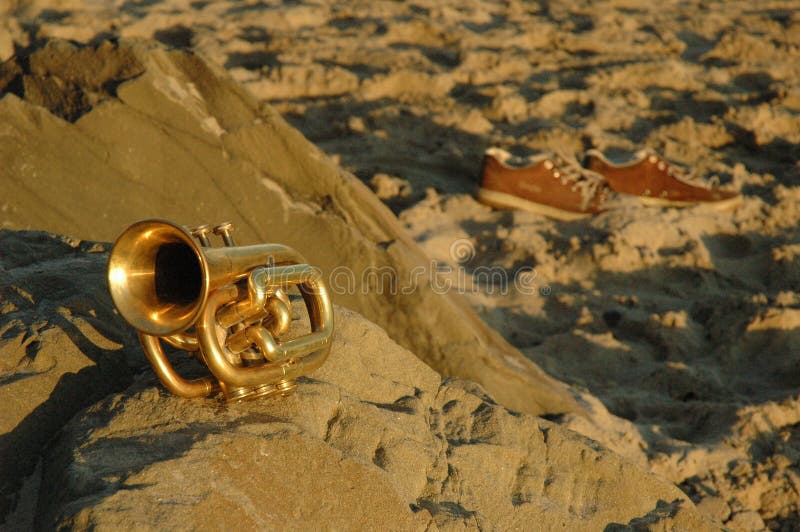 Trumpet on the beach stock photo. Image of abandoned, isolated - 3017866