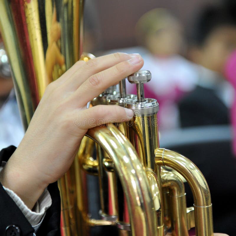 Trumpet player stock image. Image of live, melody, festival - 23856739