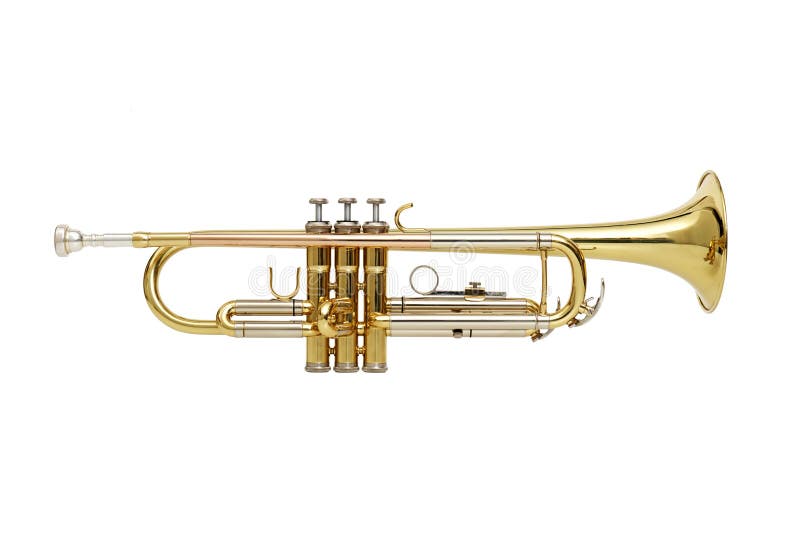White Trumpet Instrument