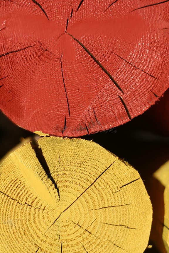 Truncated tree trunks stock photo. Image of marked, tree - 90665728