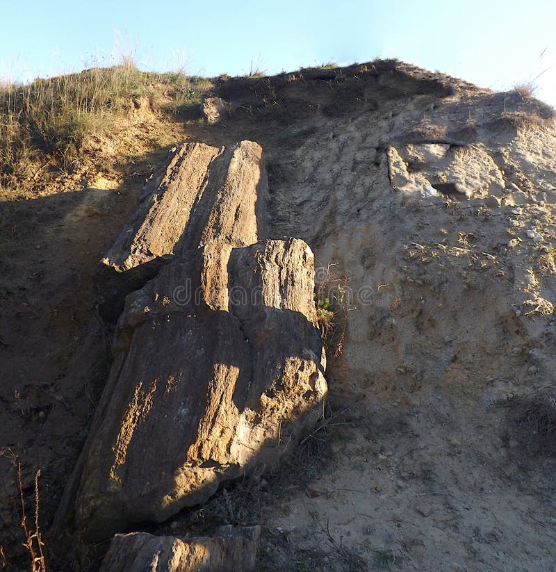 The Trunk of an Ancient Petrified Tree Stock Photo - Image of crystal ...