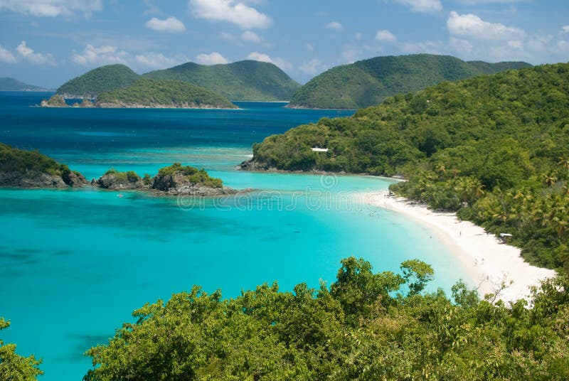 Trunk Bay - St John stock image. Image of island, palm - 11324299