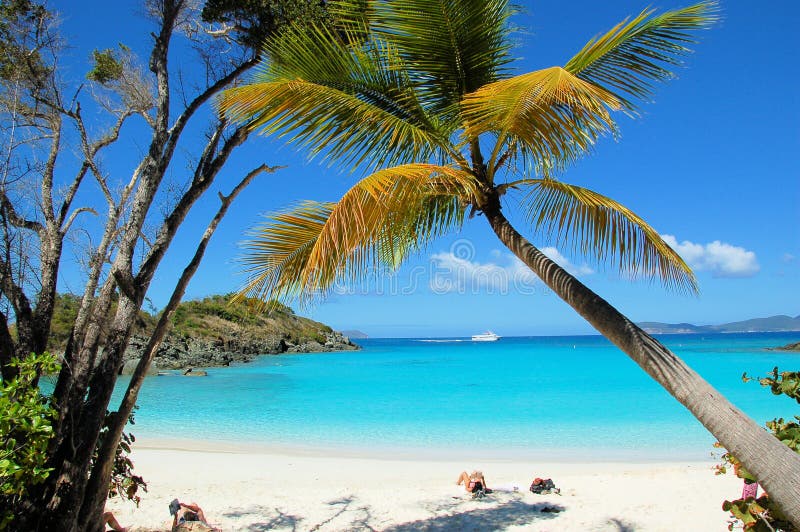 Trunk Beach stock photo. Image of aqua, paradise, virgin - 602418