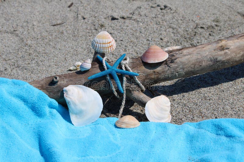 Trunk on the Beach with Marine Beauty Stock Image - Image of maritime ...