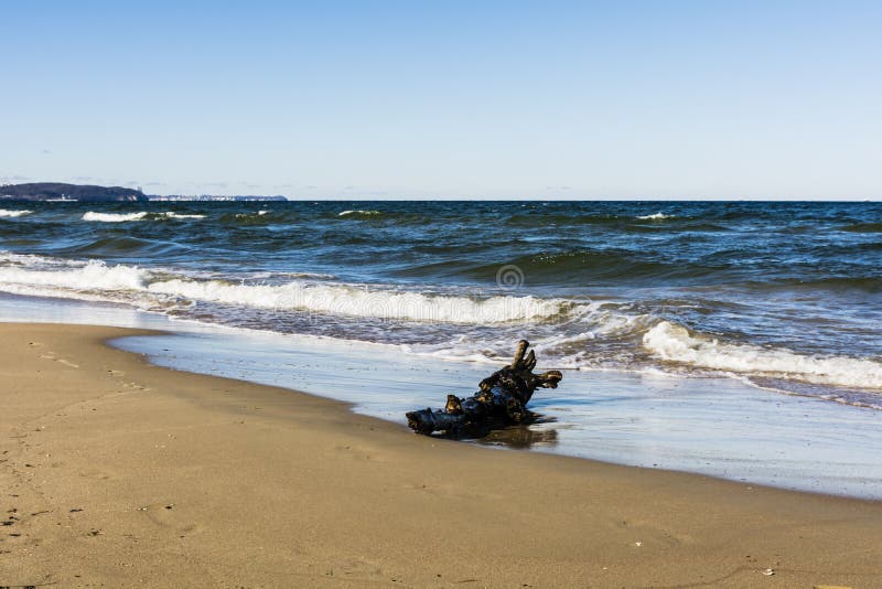 Trunk on the beach. stock image. Image of storm, ship - 68872115