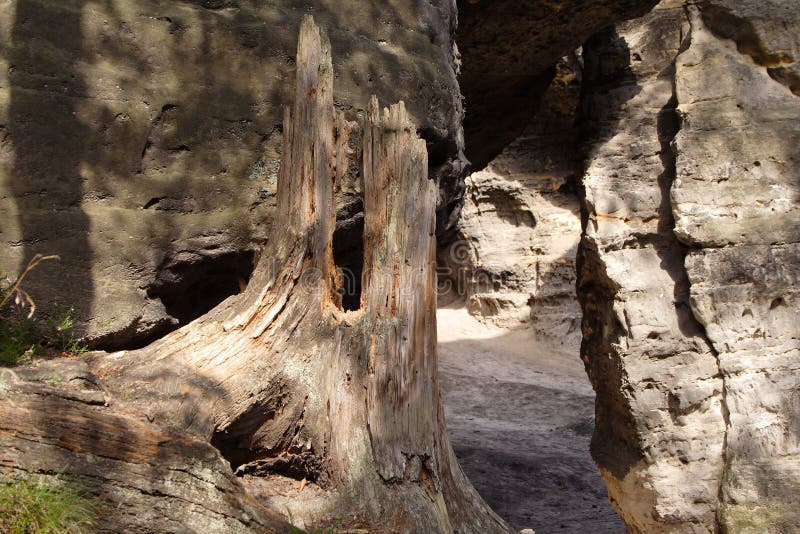 Trunk of Broken Tree by Rocks. Stock Photo - Image of background ...