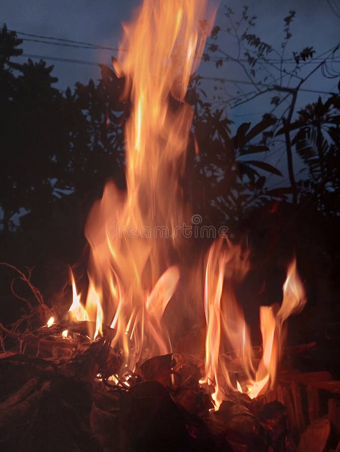Trunk Burning Fire at the Night Stock Image - Image of : 342093931