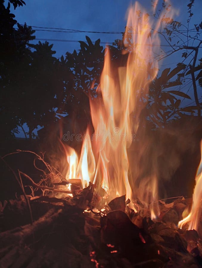 Trunk Burning Fire at the Night Stock Photo - Image of : 342093946