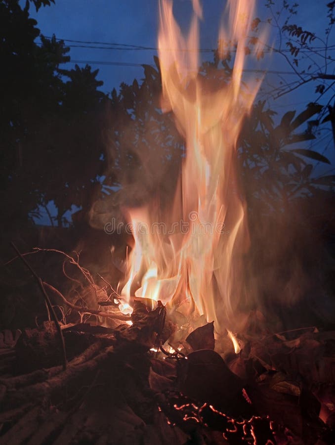 Trunk Burning Fire at the Night Stock Image - Image of : 342093959