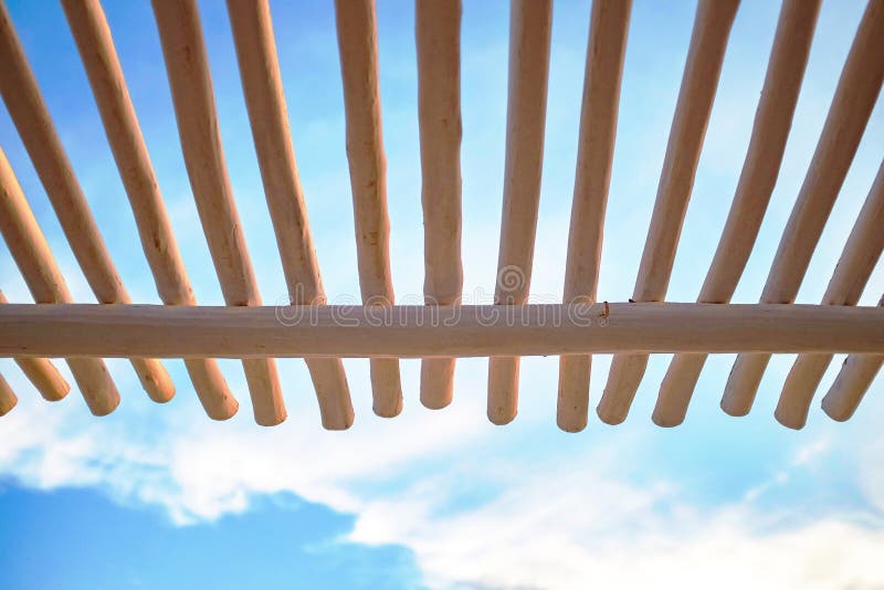 Trunk Canopy Structure stock image. Image of texture - 129190421