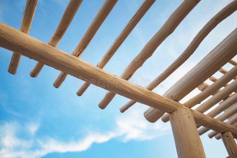 Trunk Canopy Structure stock photo. Image of light, architecture ...