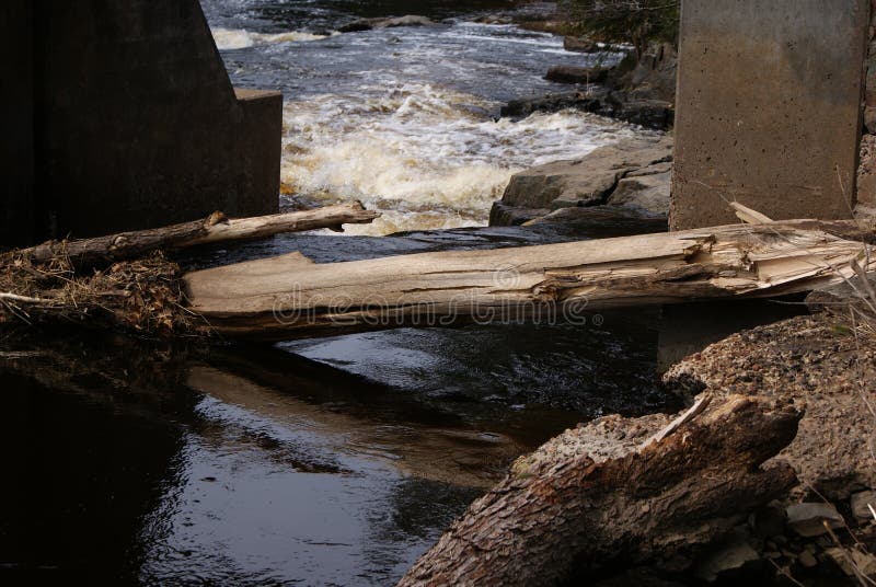 Trunk stock photo. Image of trunk, falls, damn, river - 91388440