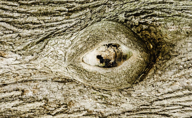 Trunk stock image. Image of people, human, industry, closeup - 38996775