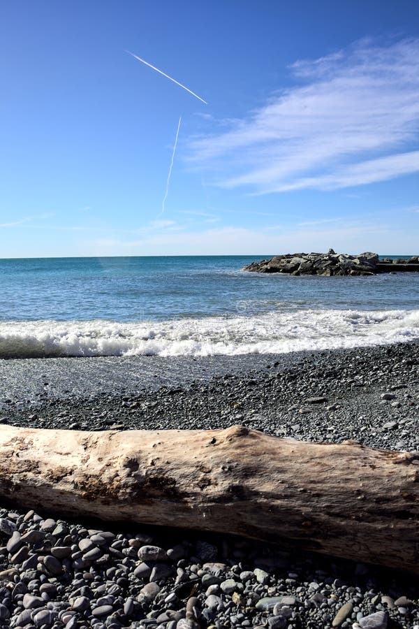 Trunk on the Foreshore of a Pebbled Beach on a Sunny Day Stock Image ...