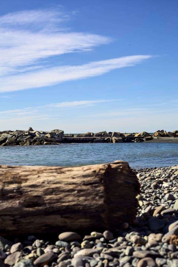 Trunk on the Foreshore of a Pebbled Beach on a Sunny Day Stock Image ...