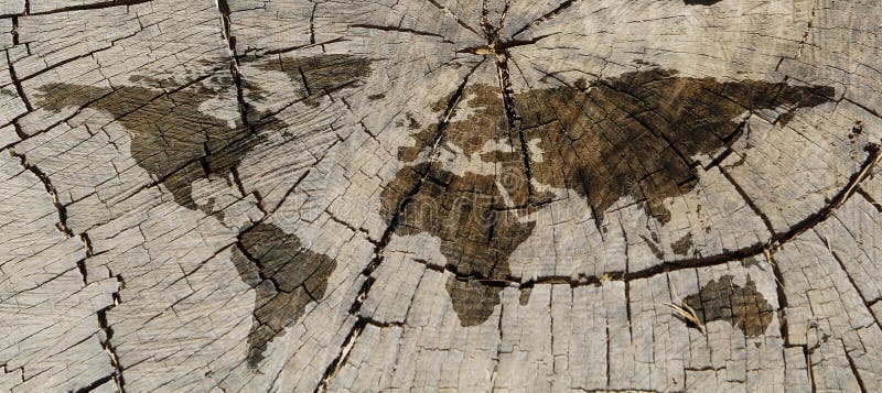 Cut trunk section stock image. Image of industry, aged - 56434361