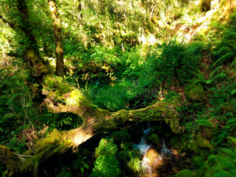 Quiet Waterfall stock photo. Image of water, cliff, hawaii - 1568832