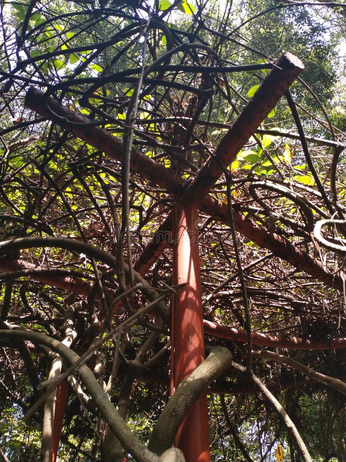 Combination of Natural Scenery and Man-made Objects Stock Photo - Image ...