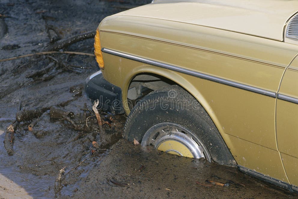 Trunk stuck in deep mud stock photo. Image of vehicle - 23162408