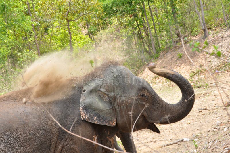 Basic Shapes stock illustration. Illustration of cone - 5307859