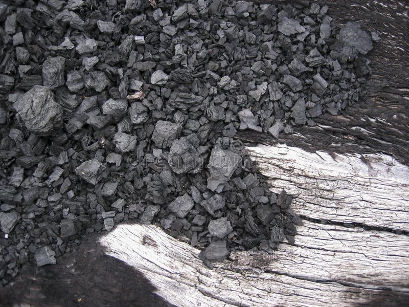 Trunk of a Tree Burned by a Fire Shaped Like a Bird Stock Photo - Image ...