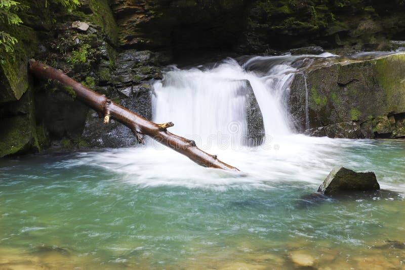 The Trunk of a Tree Fell into a Waterfall. Stock Photo - Image of ...