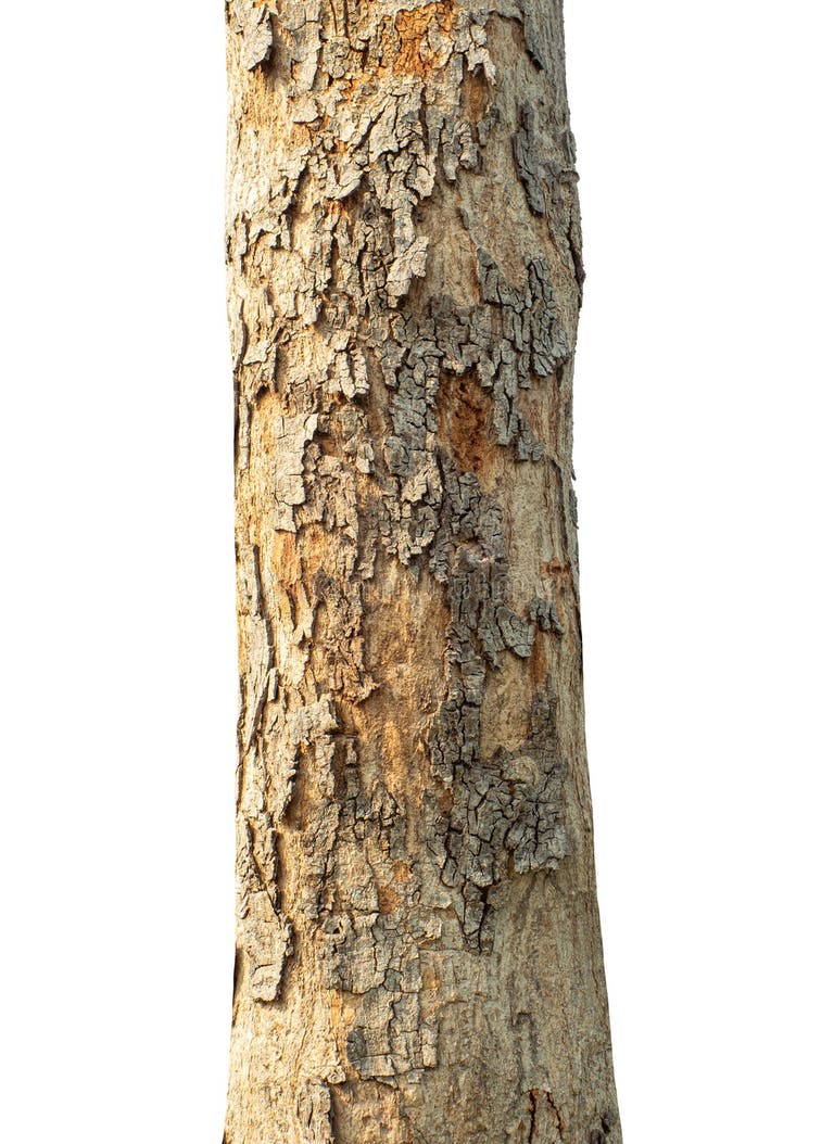 Nature Alpha Log Page Stock Photos - Free & Royalty-Free Stock Photos ...