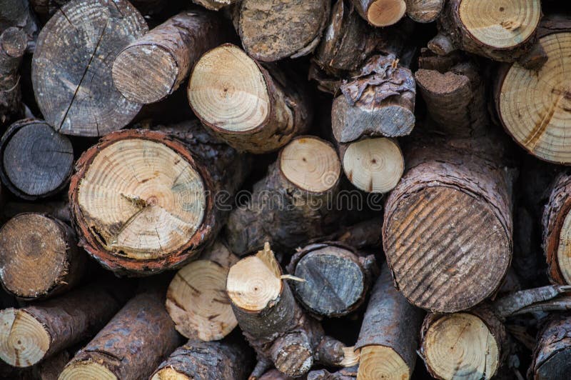 Cut and disordered trunks stock photo. Image of skin - 110716068