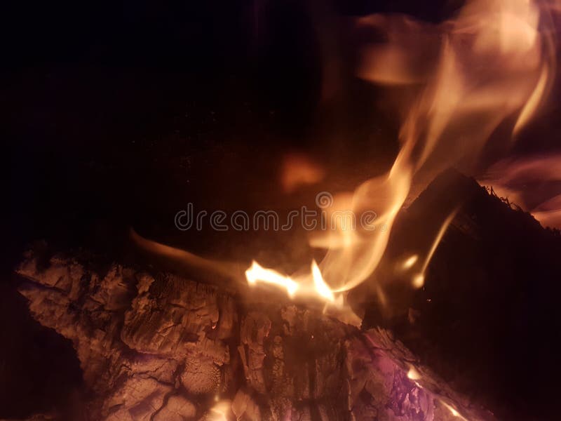 Fire on the fireplace stock photo. Image of trunks, warm - 242614244