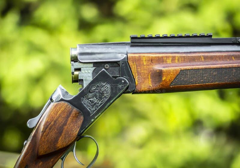 Trunks of a hunting rifle stock image. Image of metal - 146161565