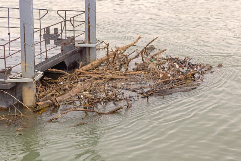 Trunks Logs Floating Trash Stock Photos - Free & Royalty-Free Stock ...