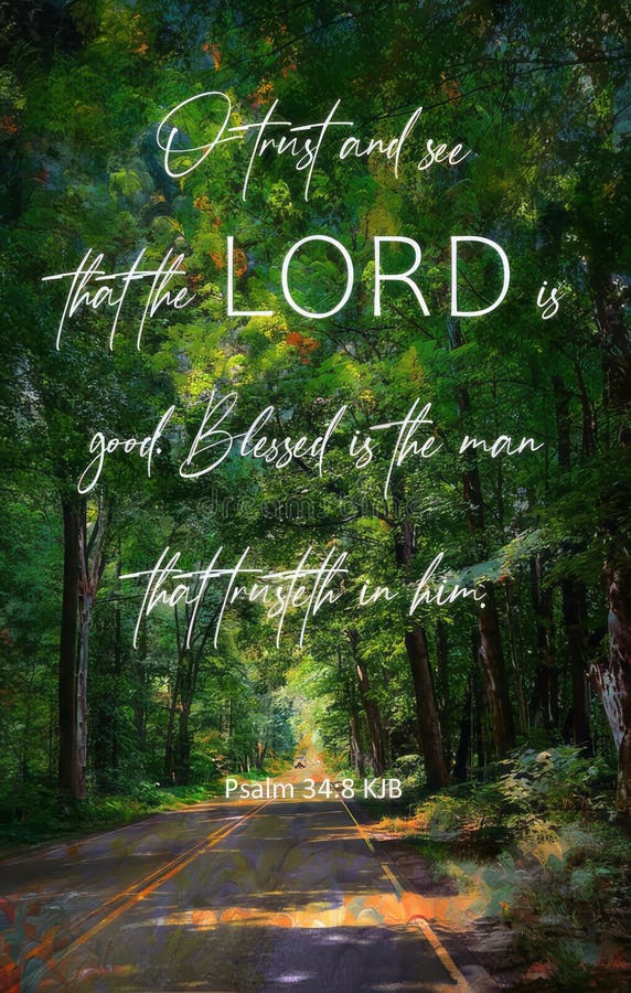 King James Version Bible stock image. Image of white - 16187145